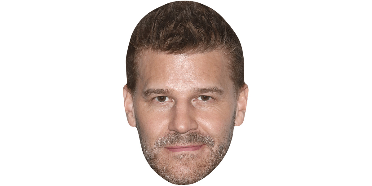 David Boreanaz (Smirk) Celebrity Mask