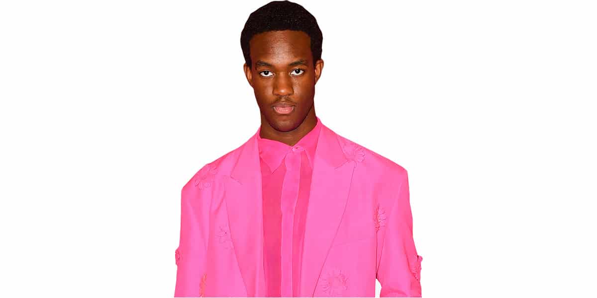 Wisdom Kaye (Pink) Buddy - Torso Up