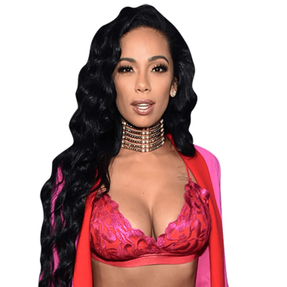 Erica Mena (Crop Top) Buddy - Torso Up