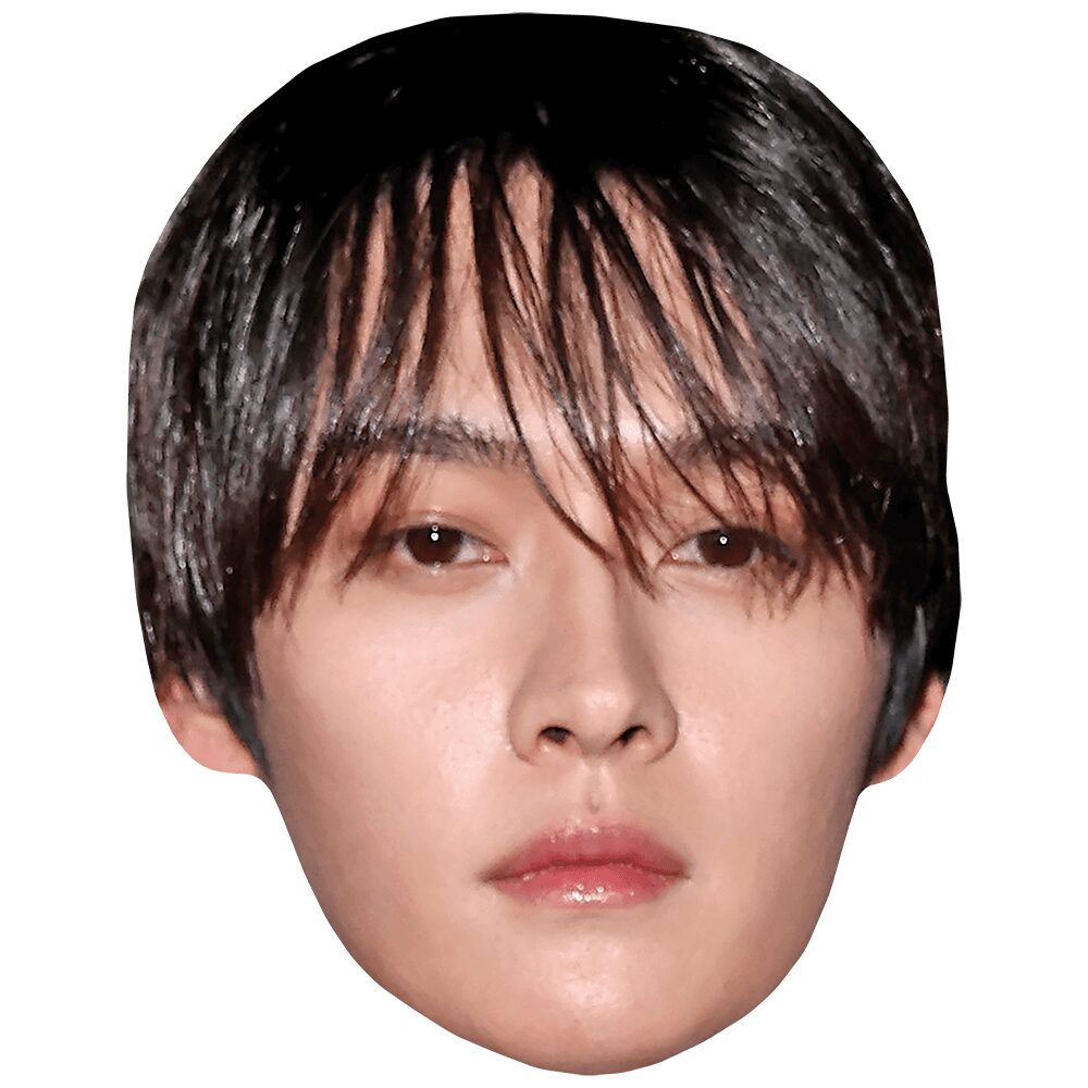 Lee Know (Fringe) Big Head