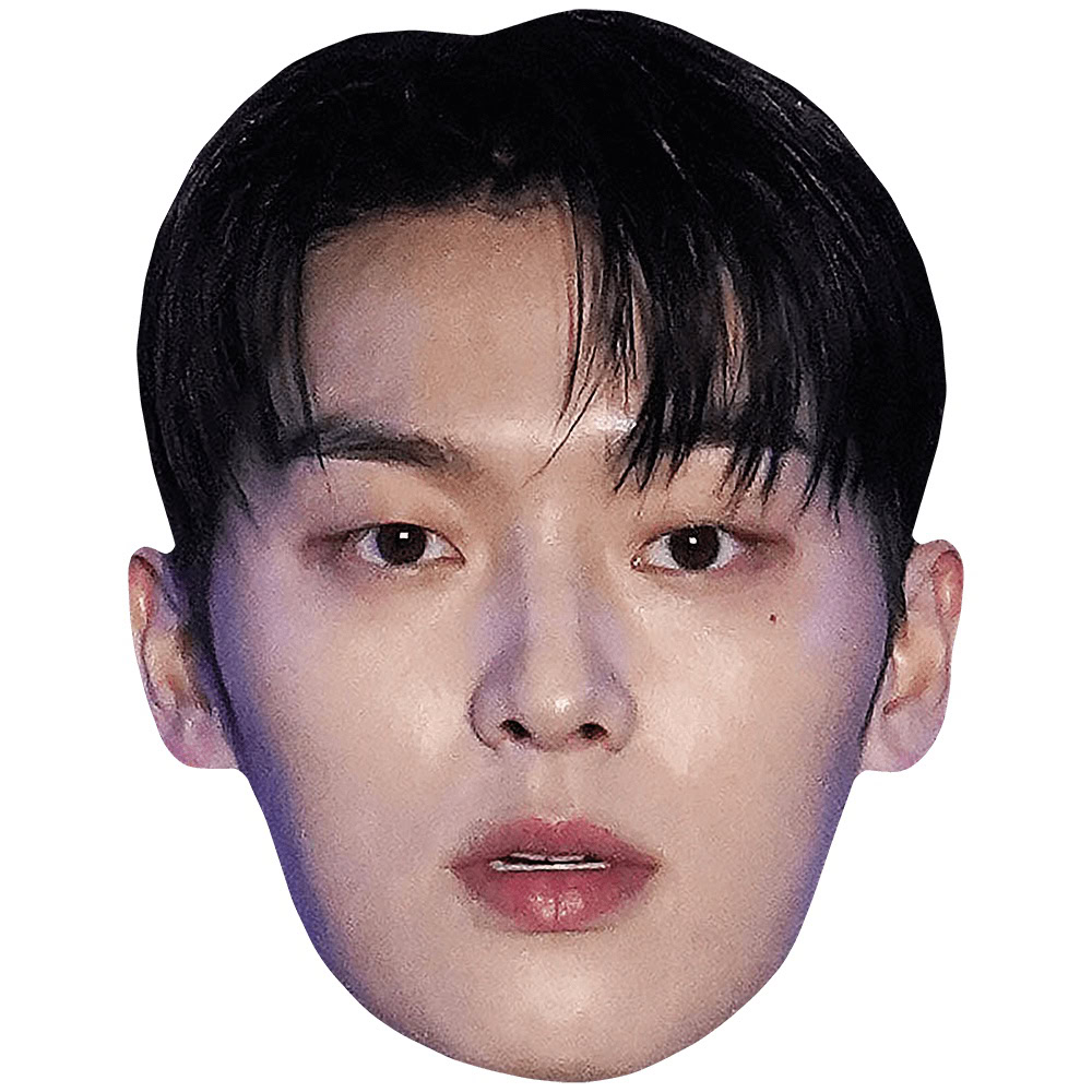 Choi Hyun-Wook (Black Hair) Mask