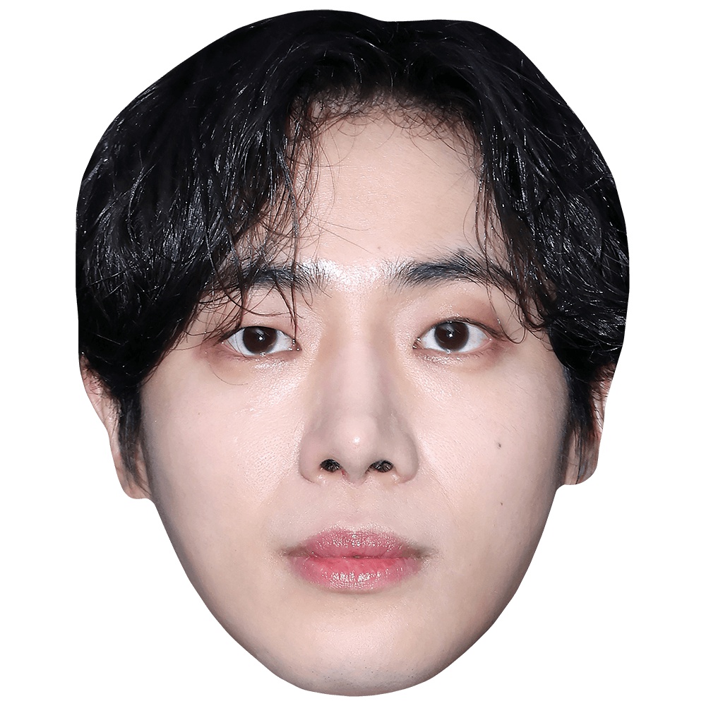 Choo Young Woo (Black Hair) Mask